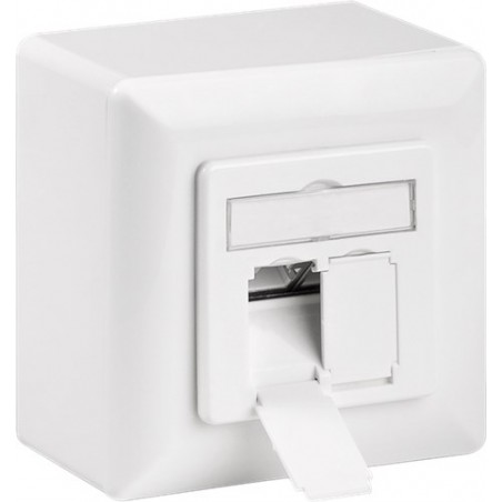 CAT 6 universal wall plate incl. on-wall mounting frame, white - 2x ...