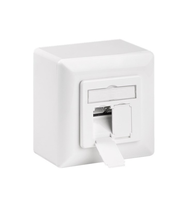 CAT 6 universal wall plate incl. on-wall mounting frame, white - 2x ...